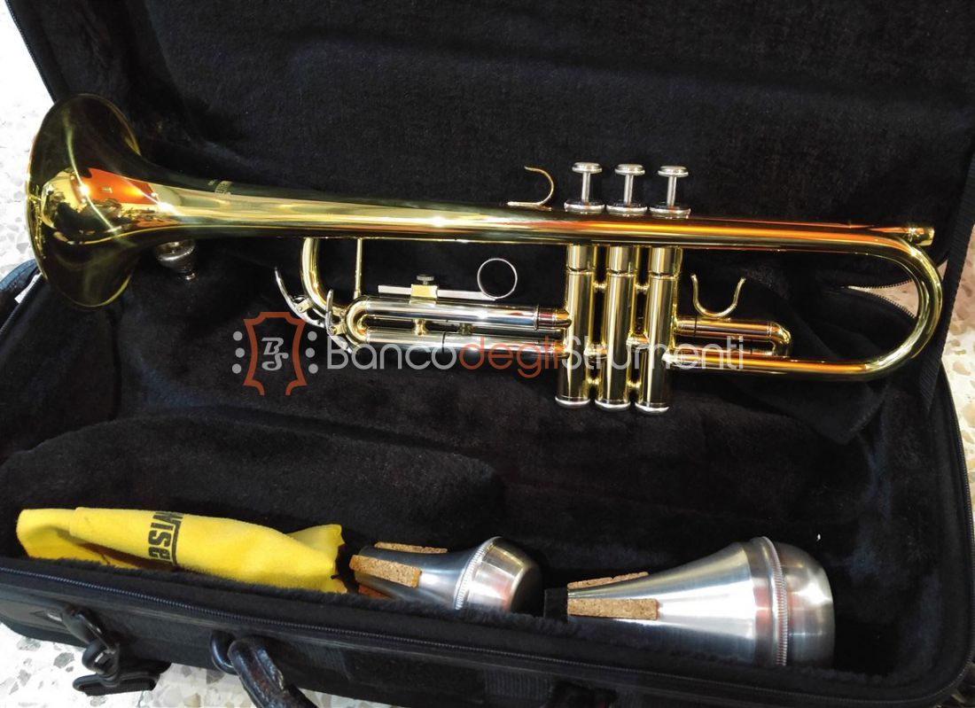 Wisemann DTR-200 Sib - Usato - Banco Degli Strumenti - Compra e vendi ...